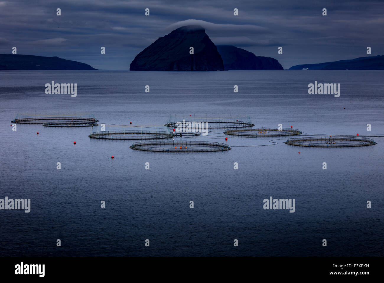 élevage de poissons Banque de photographies et d’images à haute ...