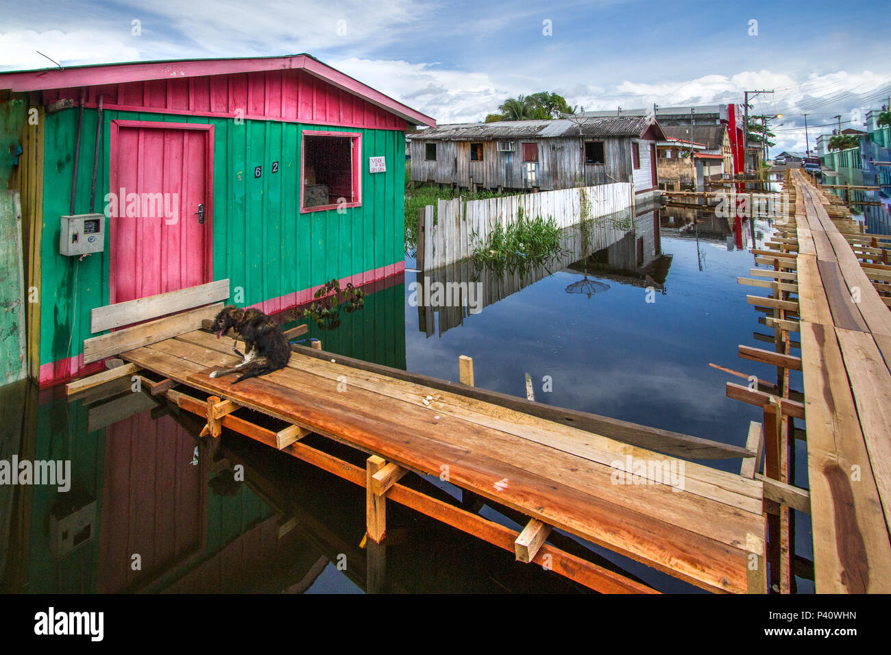 Manacapuru-AM Casas de madeiras Casas no Rio Negro Casas na Amazônia ...