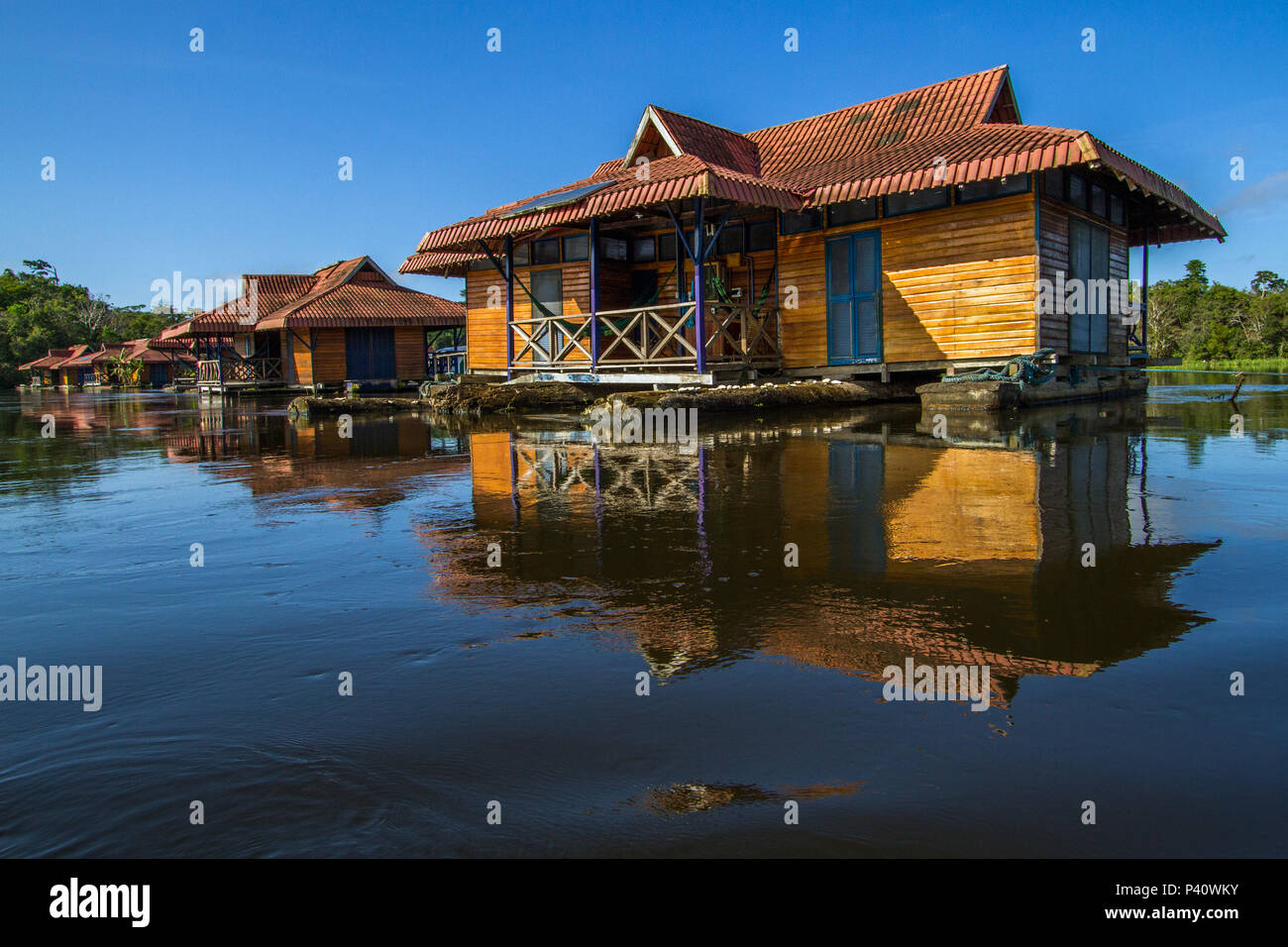 Uarini suis Pousada POUSADA Uacari Canal Flutuante do Rio Japurá ...