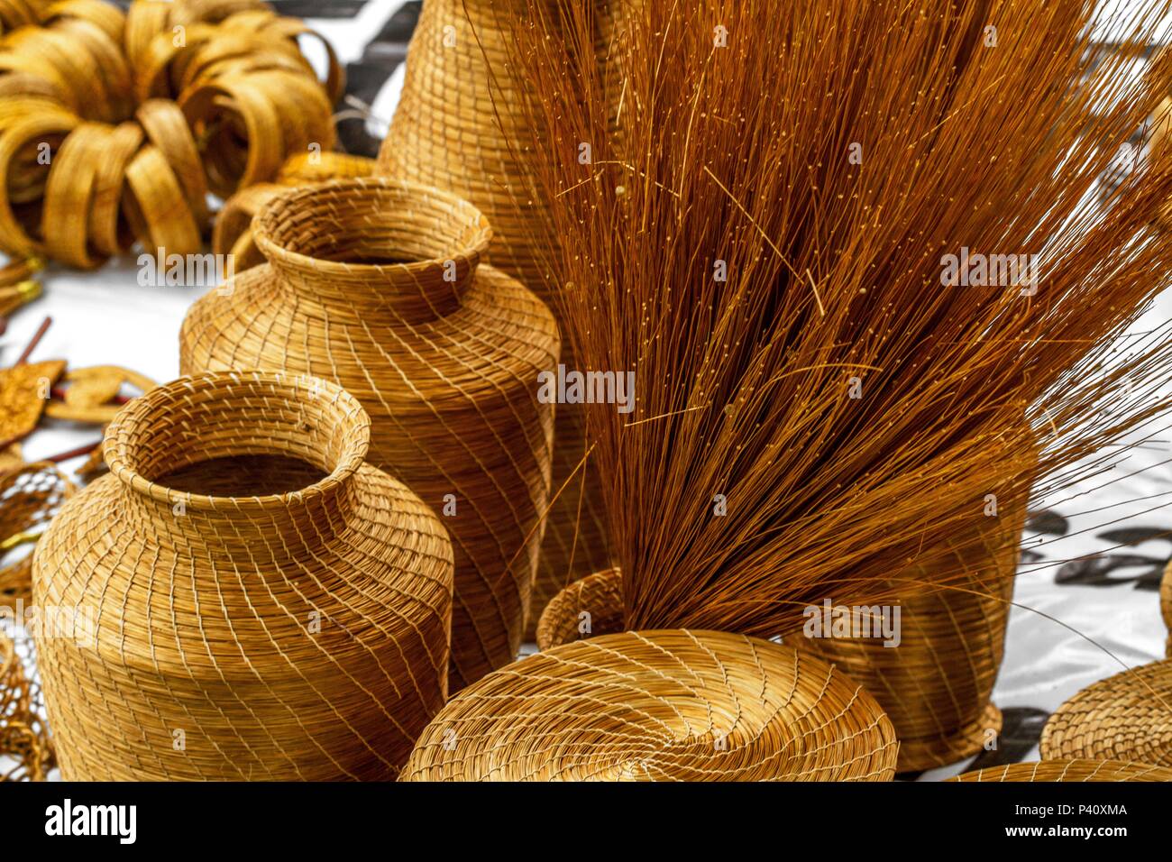 Capim dourado Banque de photographies et d’images à haute résolution ...