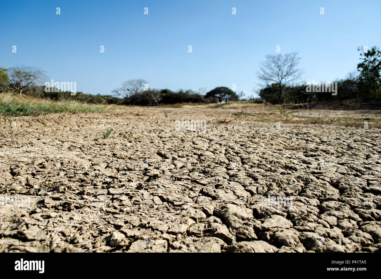 Arco seco de panama Banque de photographies et d’images à haute résolution - Alamy