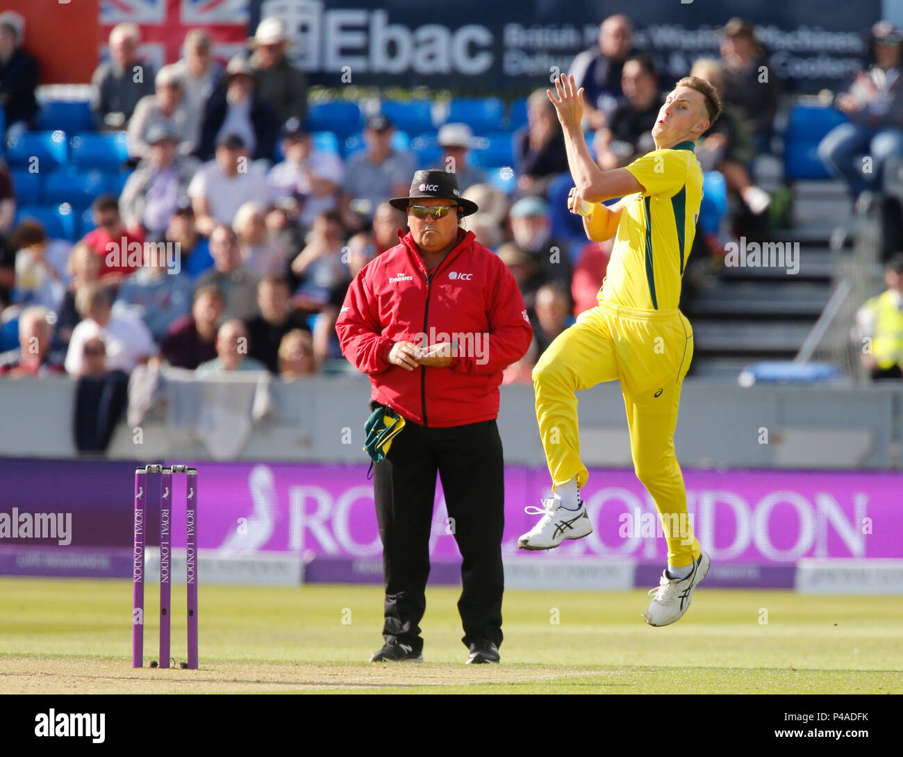 Bols de billy Banque de photographies et d’images à haute résolution ...