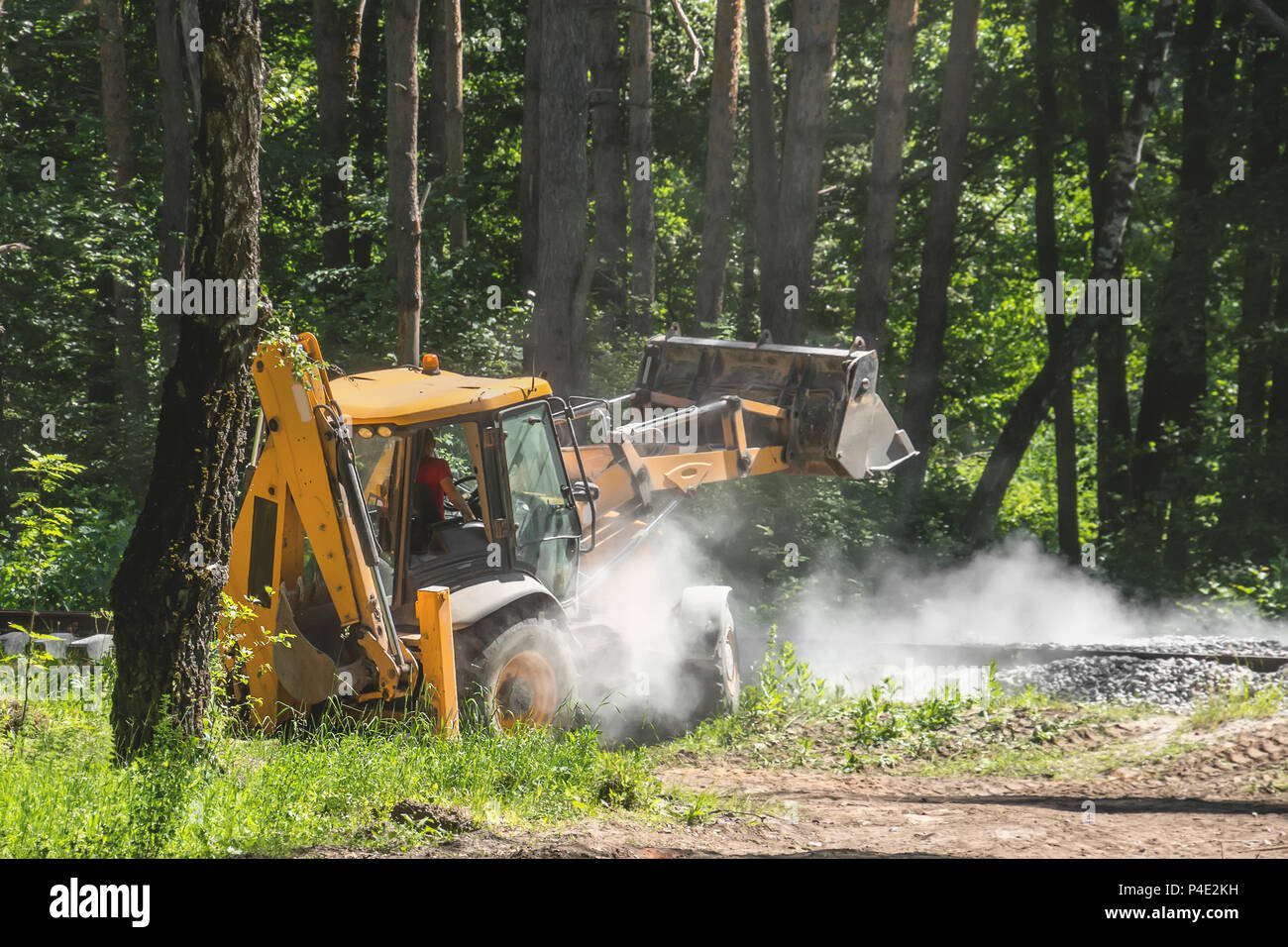 Bulldozer deforestation forest Banque de photographies et d’images à ...
