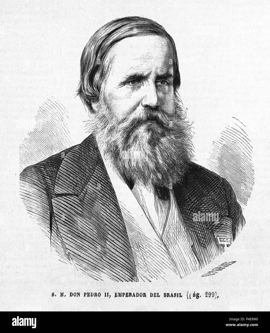 Biblioteca nacional do brasil Banque de photographies et d’images à ...