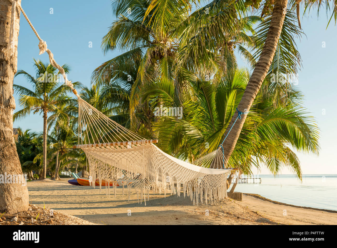 Hamac plage tropicale Banque de photographies et d’images à haute ...