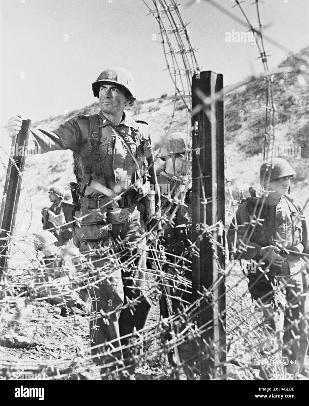 Le film de porc Banque d'images noir et blanc - Alamy