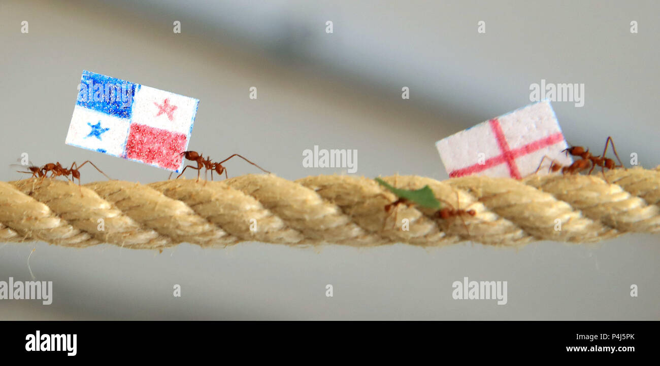 Corde portant des drapeaux Banque de photographies et d’images à haute ...