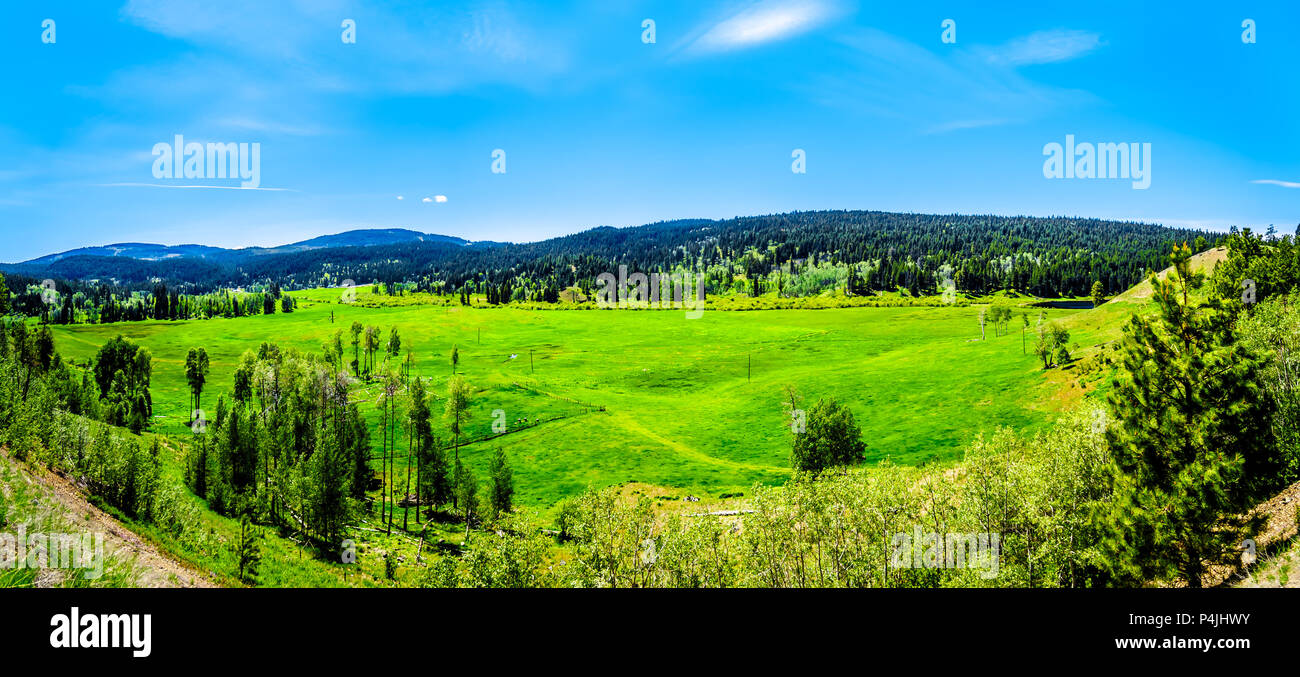 Nicola grove Banque de photographies et d’images à haute résolution - Alamy