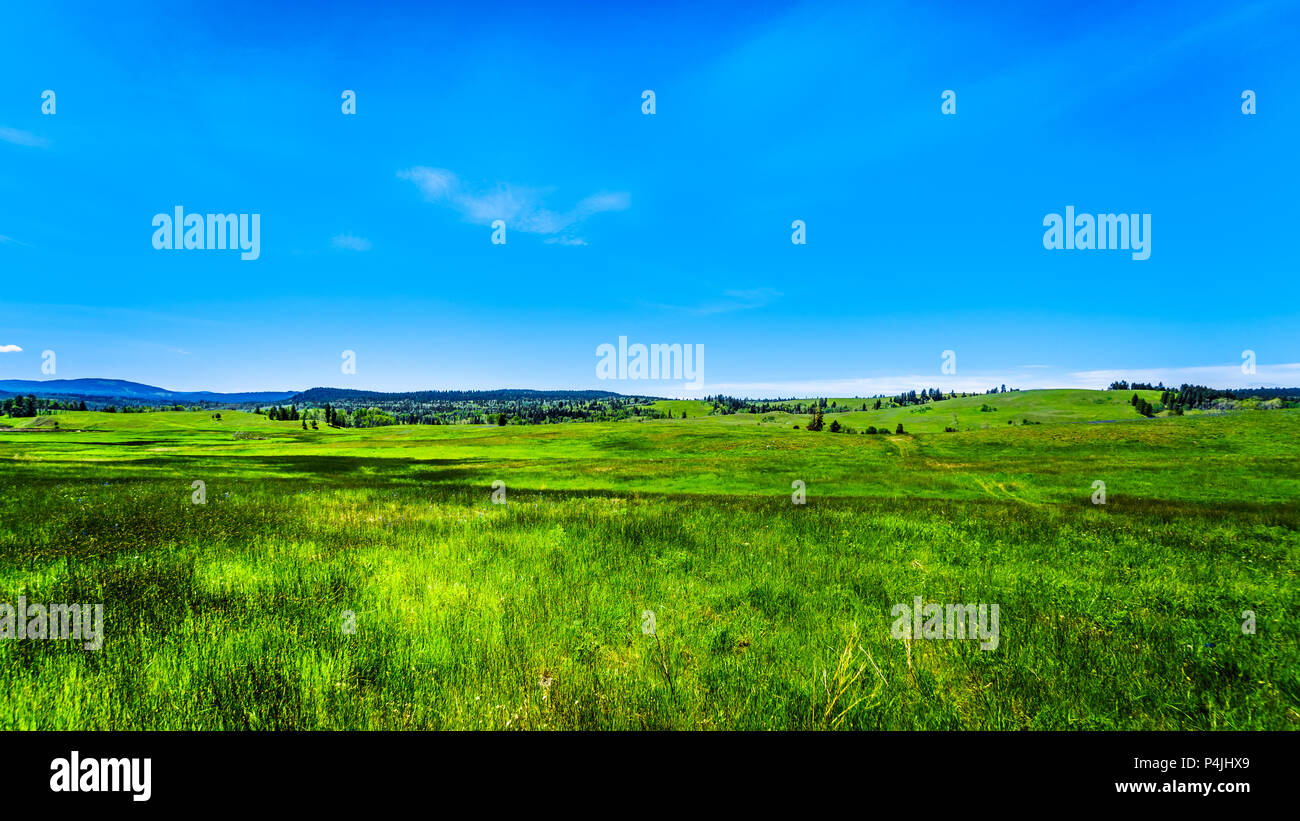 Nicola grove Banque de photographies et d’images à haute résolution - Alamy