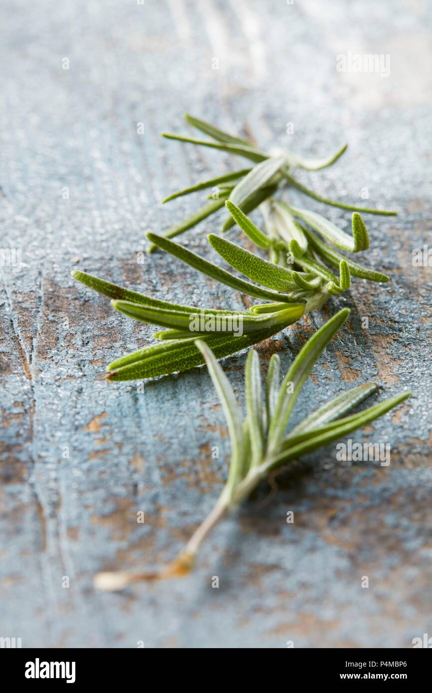 Photos avec du romarin frais Banque de photographies et d’images à ...