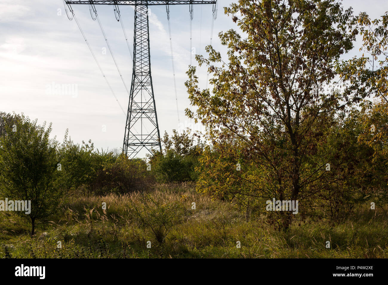 Bande verte Banque de photographies et d’images à haute résolution - Alamy