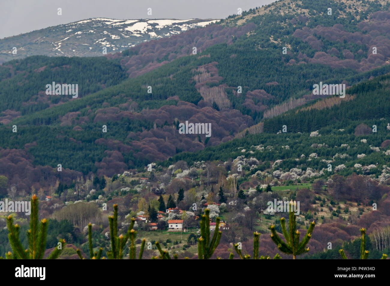 Panorama avec haut de neige, printemps pied de la montagne, glade ...