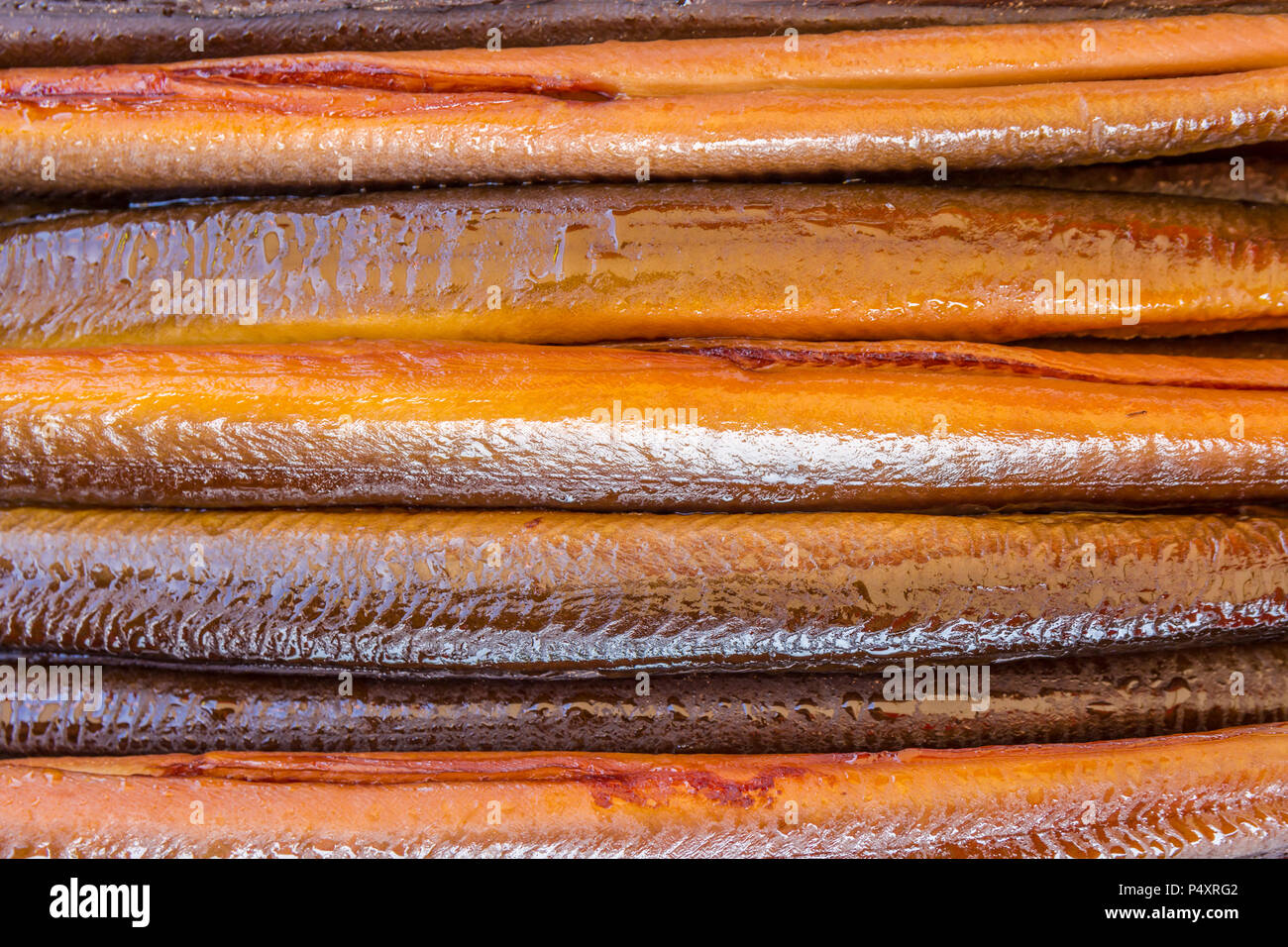 Anguilles brunes Banque de photographies et d’images à haute résolution ...