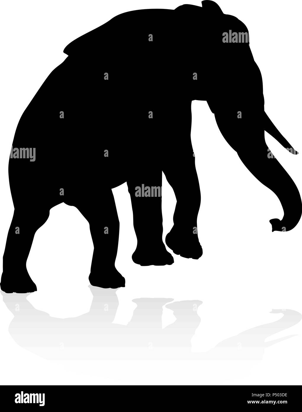 Elephant shadow Banque d'images vectorielles - Alamy