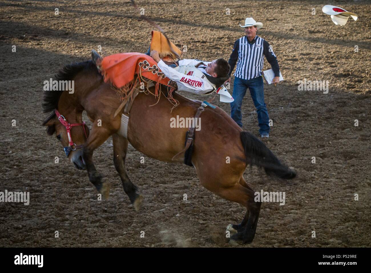 Professional rodeo cowboys association Banque de photographies et d ...
