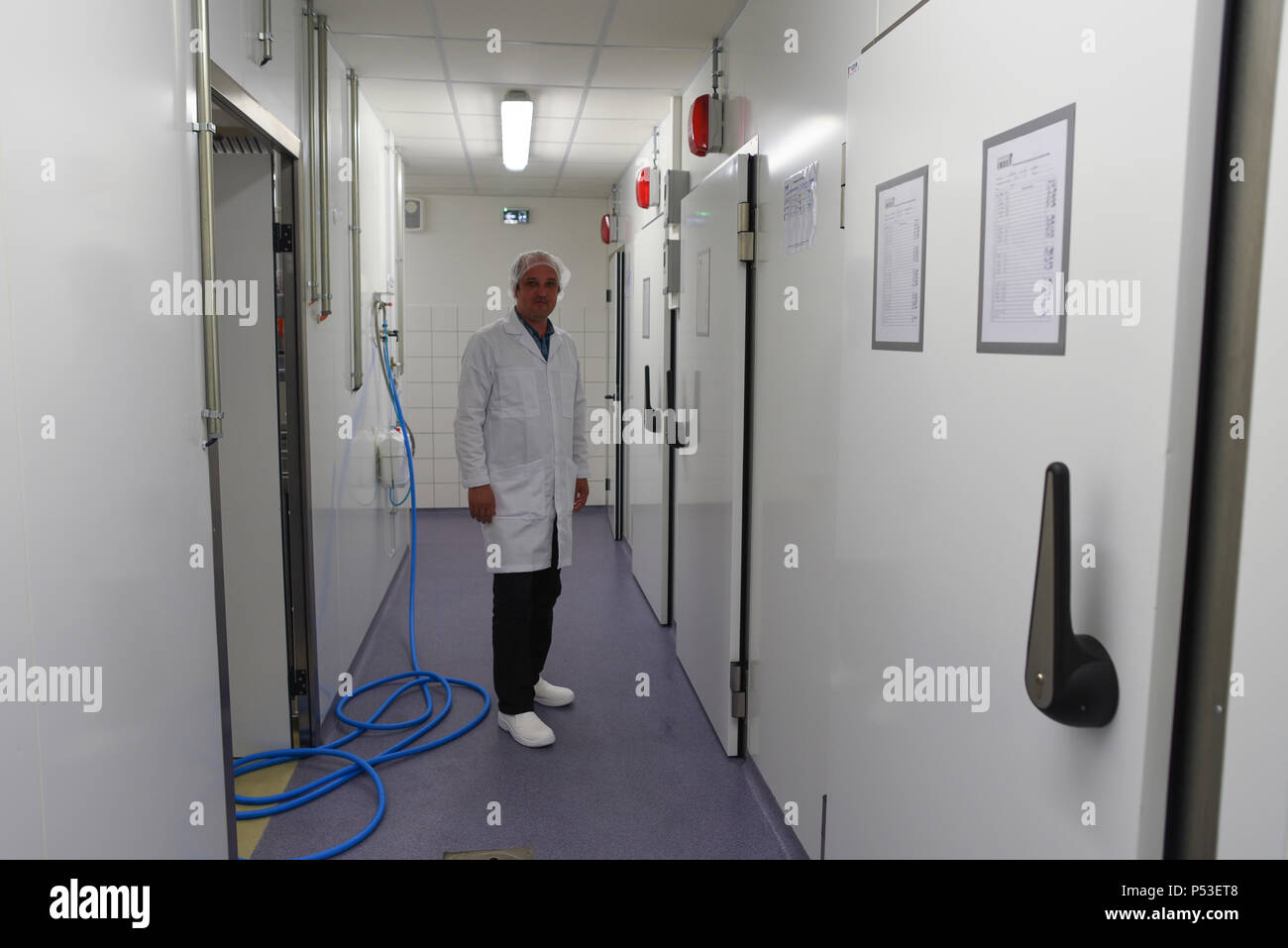 30 juin 2015 - Ungersheim, France : Portrait de Thomas Dreyfus, manager ...