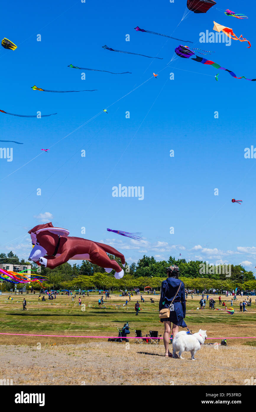 Grand Cerf-volant sous la forme d'un chien à la 2018 Festival de cerf ...