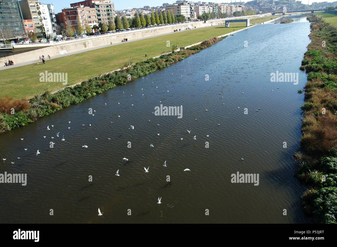 Parque fluvial del rio besos Banque de photographies et d’images à ...