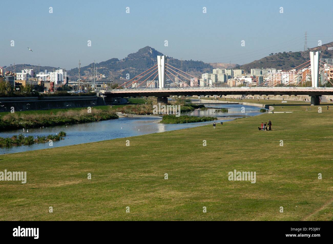 Parque fluvial del rio besos Banque de photographies et d’images à ...