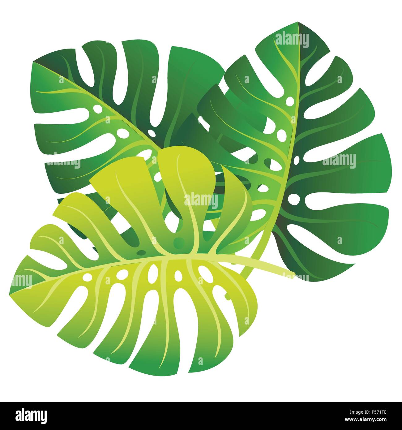 Feuilles Jungle Dessin