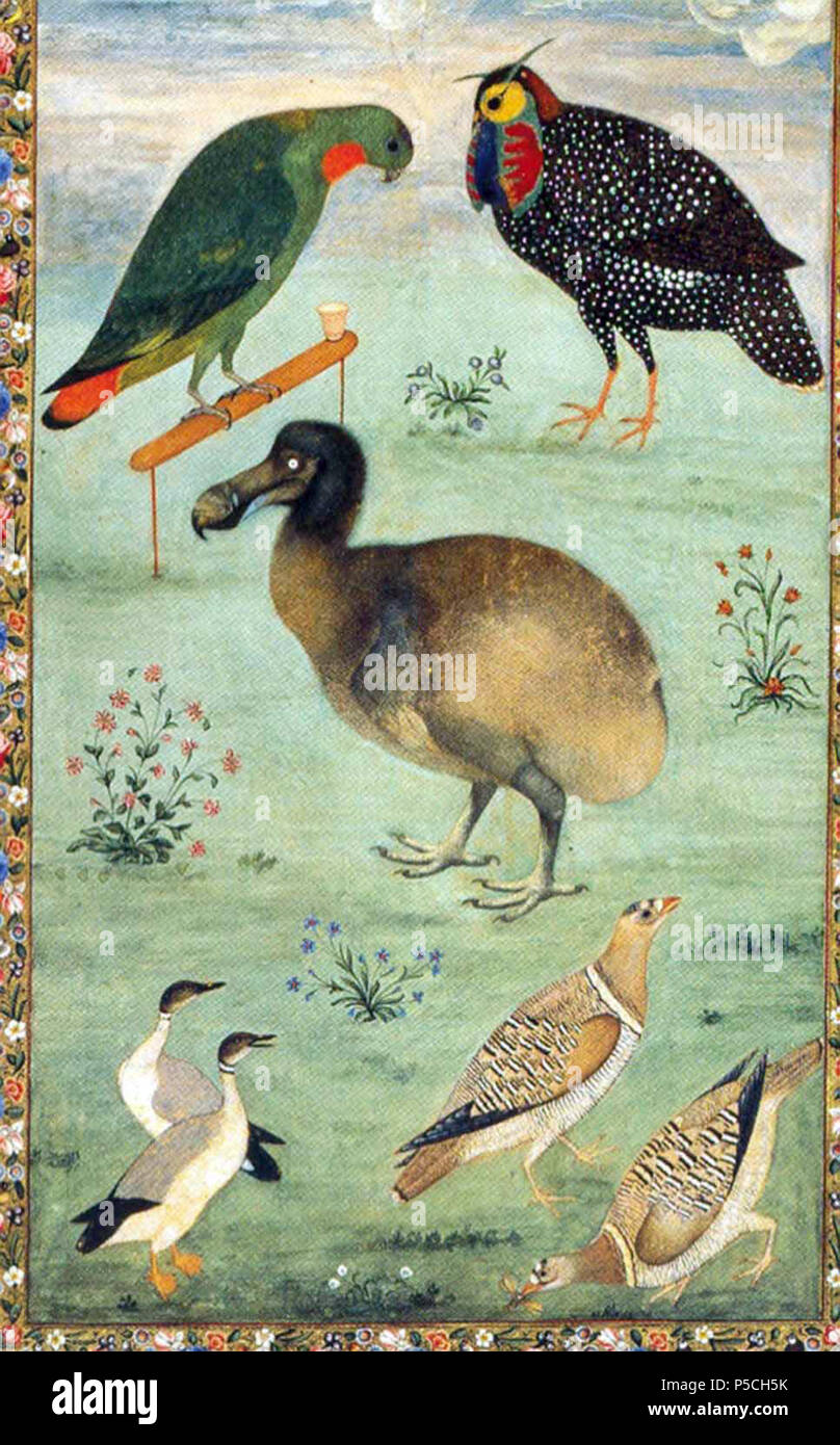 Tragopan melanocephalus Banque de photographies et d’images à haute ...