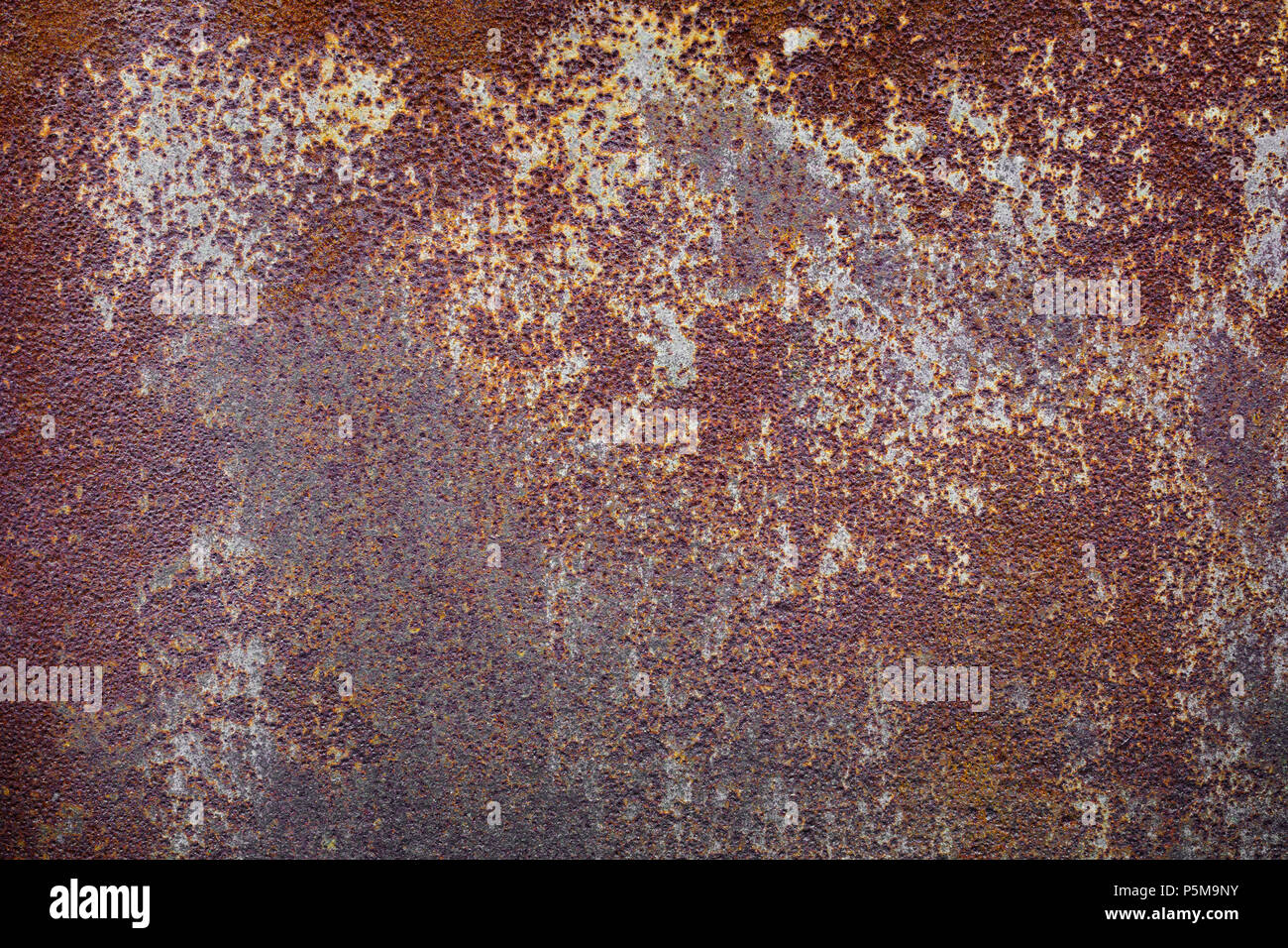 Fern texture Banque de photographies et d’images à haute résolution - Alamy