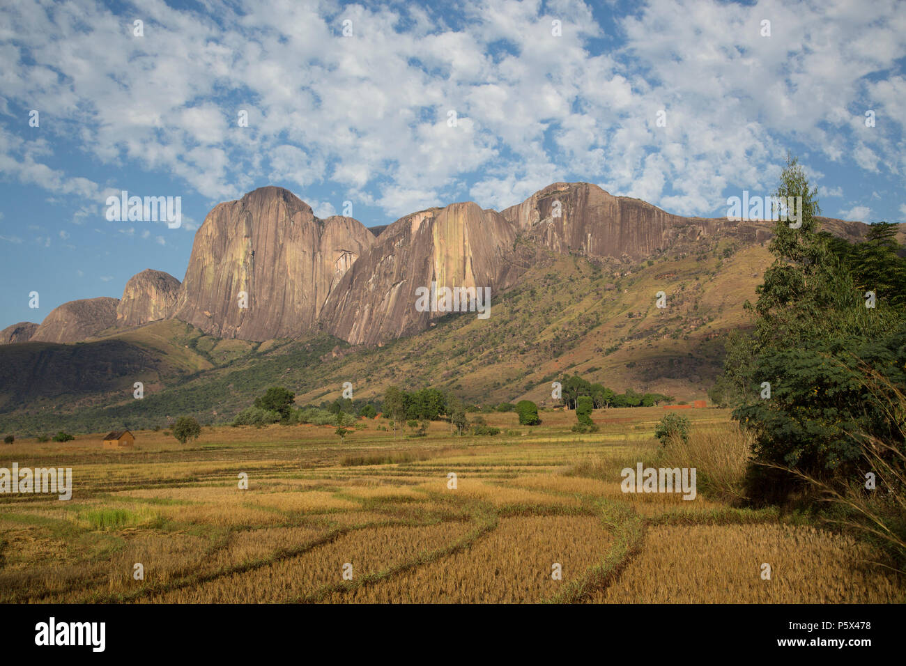 Paysage de rizière madagascar Banque de photographies et d’images à ...