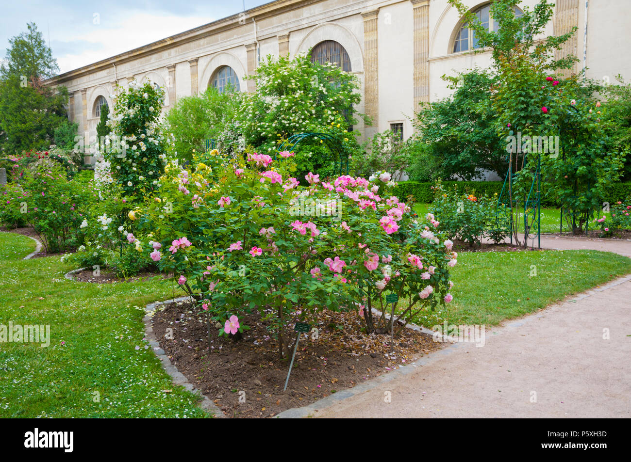 Jardin_des_plantes paris Banque de photographies et d’images à haute ...