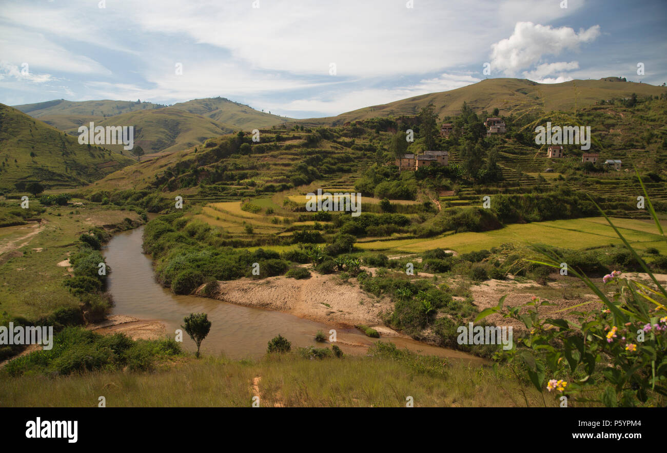 Paysage de rizière madagascar Banque de photographies et d’images à ...