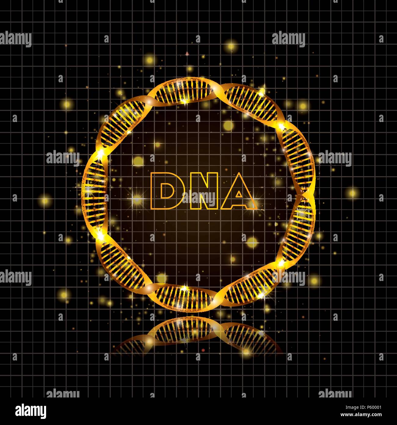Molécule d'adn circulaire Banque d'images vectorielles - Alamy