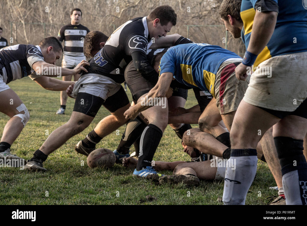 Melee rugby Banque de photographies et d’images à haute résolution - Alamy