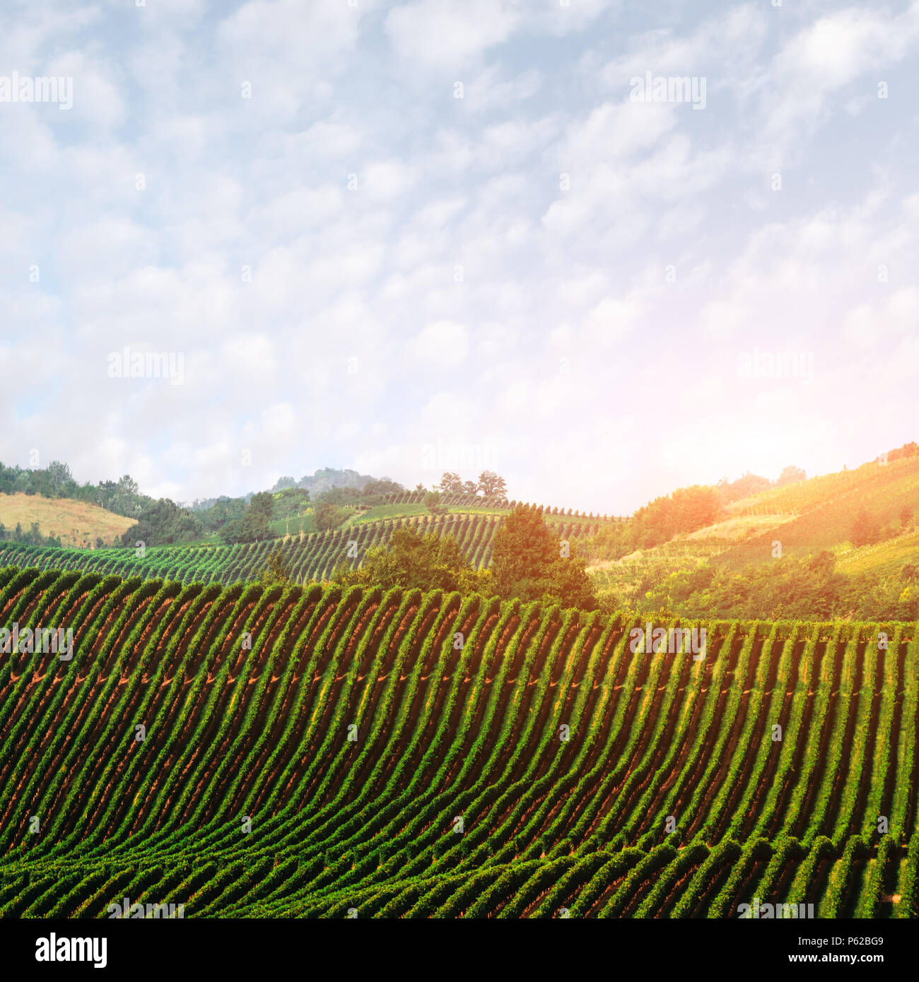Paysage vert Banque de photographies et d’images à haute résolution - Alamy