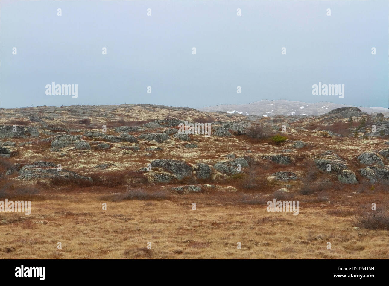 510n Banque de photographies et d’images à haute résolution - Alamy