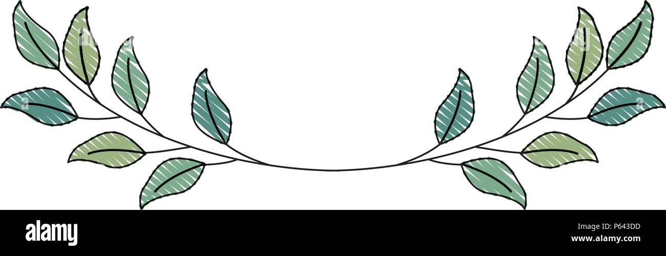 Feuilles branche botanique naturel dessin illustration vectorielle ...