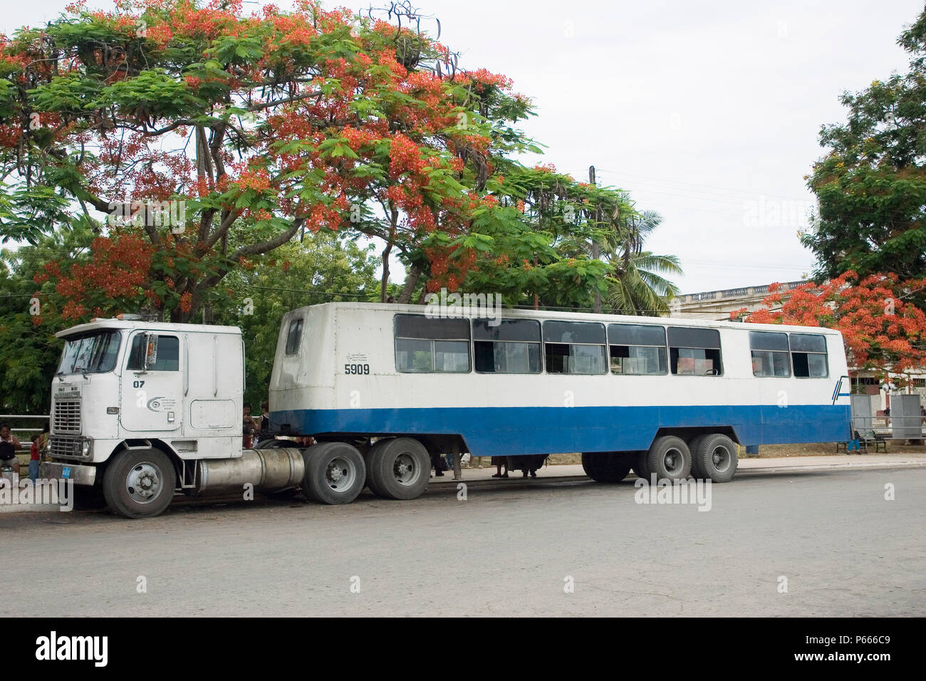 Camel bus cuba Banque de photographies et d’images à haute résolution ...