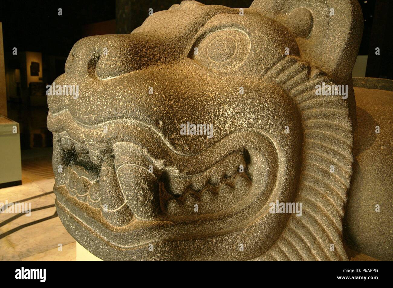 Ocelotl-Cuauhxicalli . Museo Nacional de Antropologia. Estado de Mexico ...