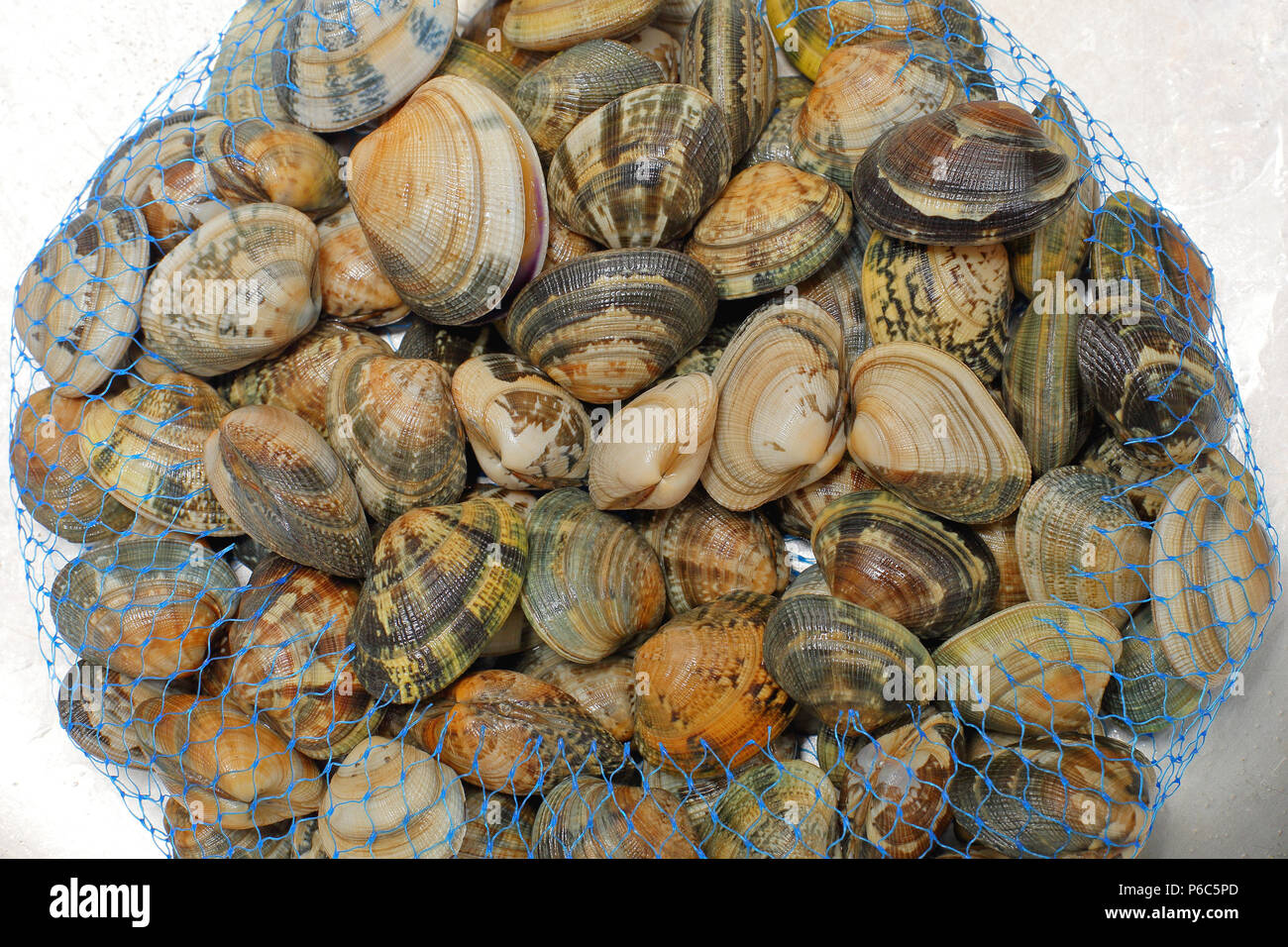 Mollusques bivalves Banque de photographies et d’images à haute ...