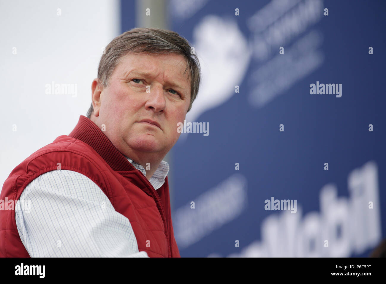Portraits de chevaux Banque de photographies et d’images à haute ...