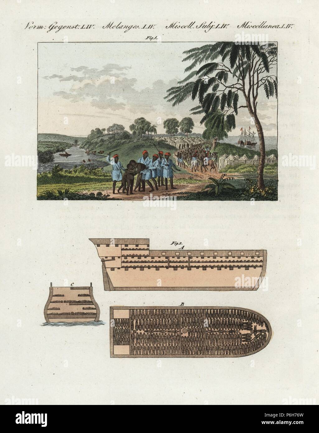 Coupe d'un navire négrier Banque de photographies et d’images à haute ...