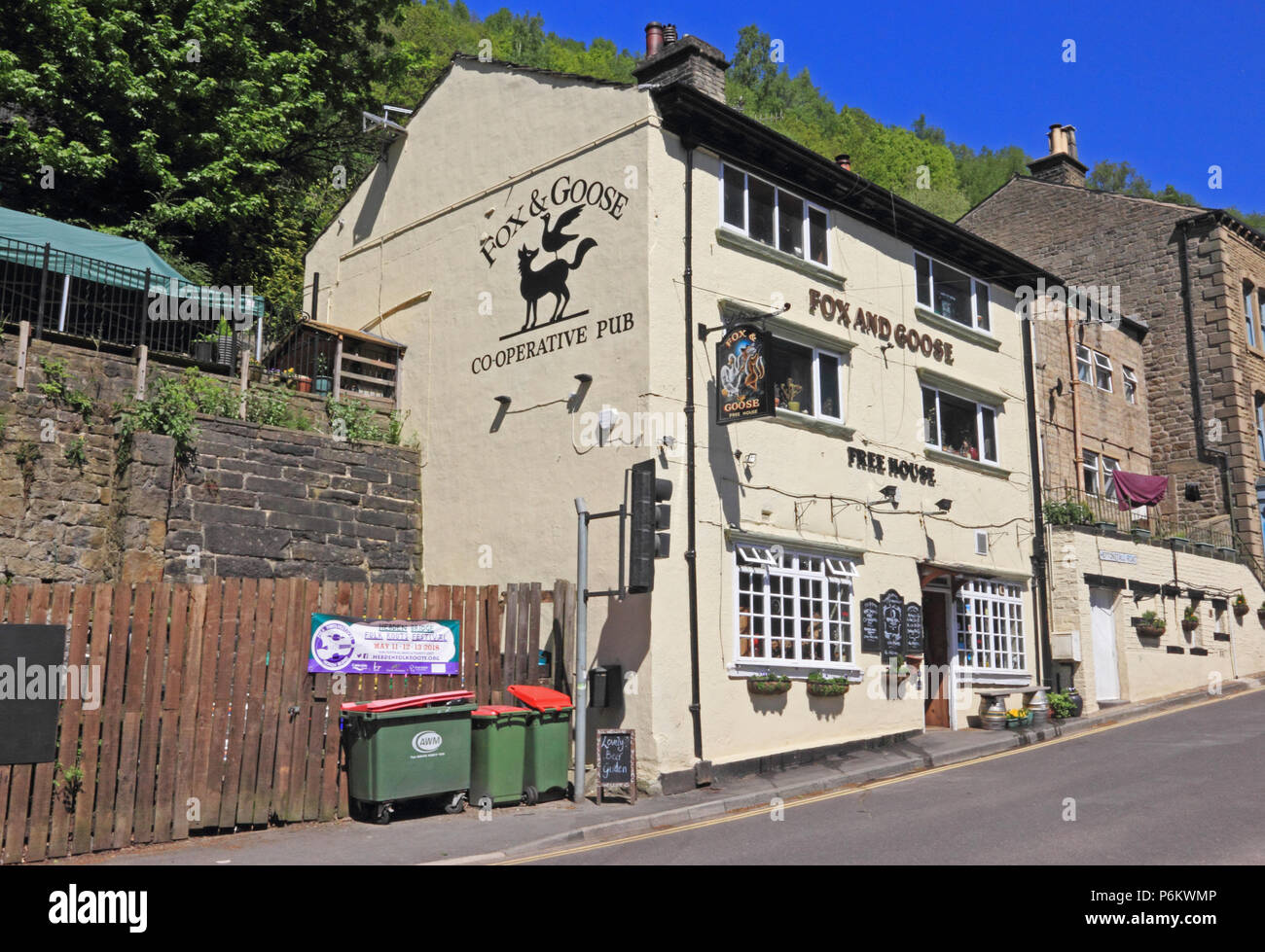Fox goose Banque de photographies et d’images à haute résolution - Alamy