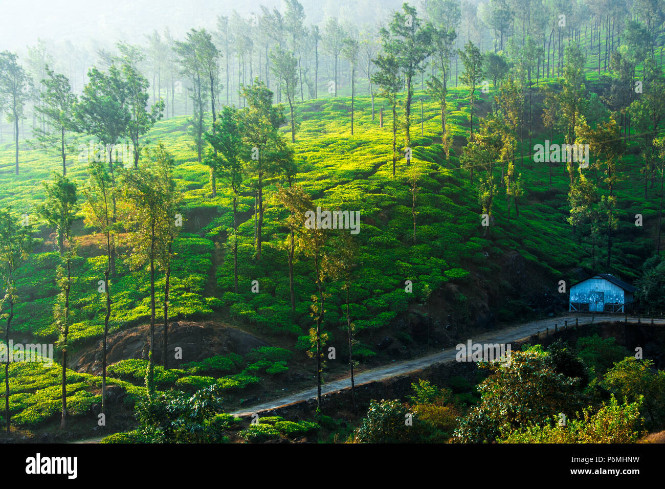 Pic de chembra Banque de photographies et d’images à haute résolution ...