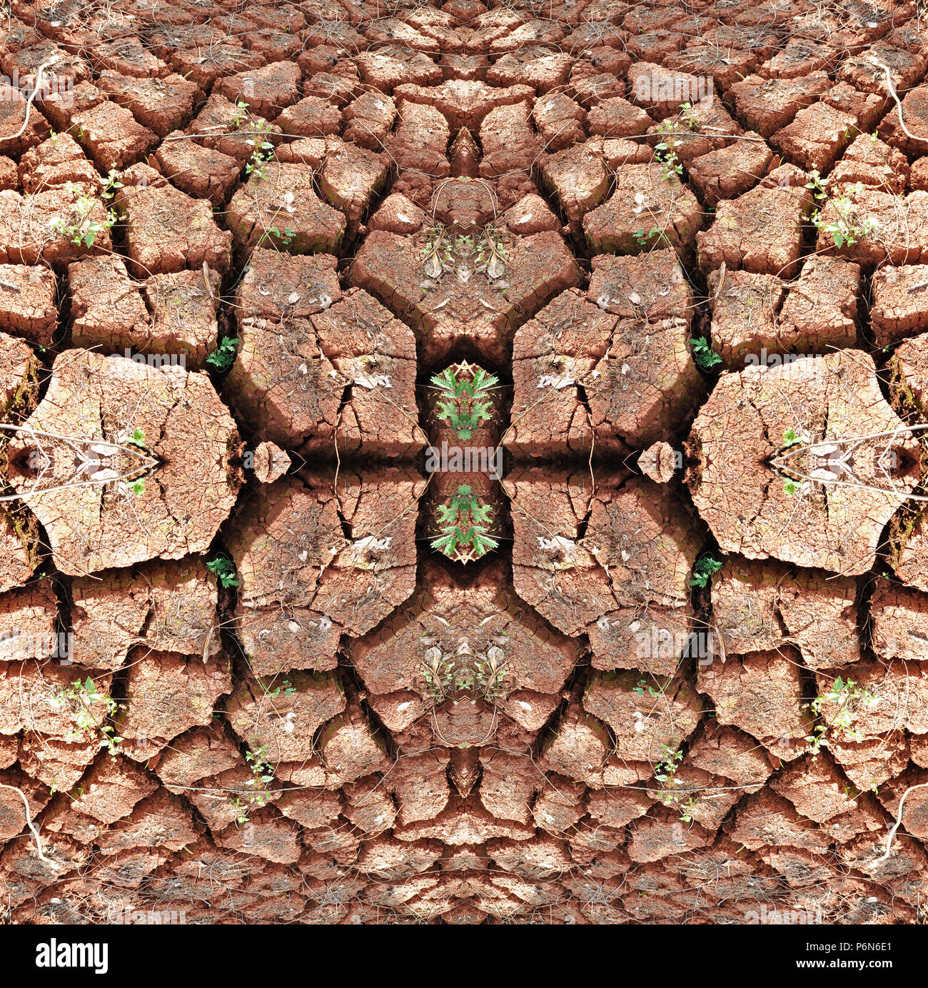 Détails du sol fissuré à sec Photo Stock - Alamy