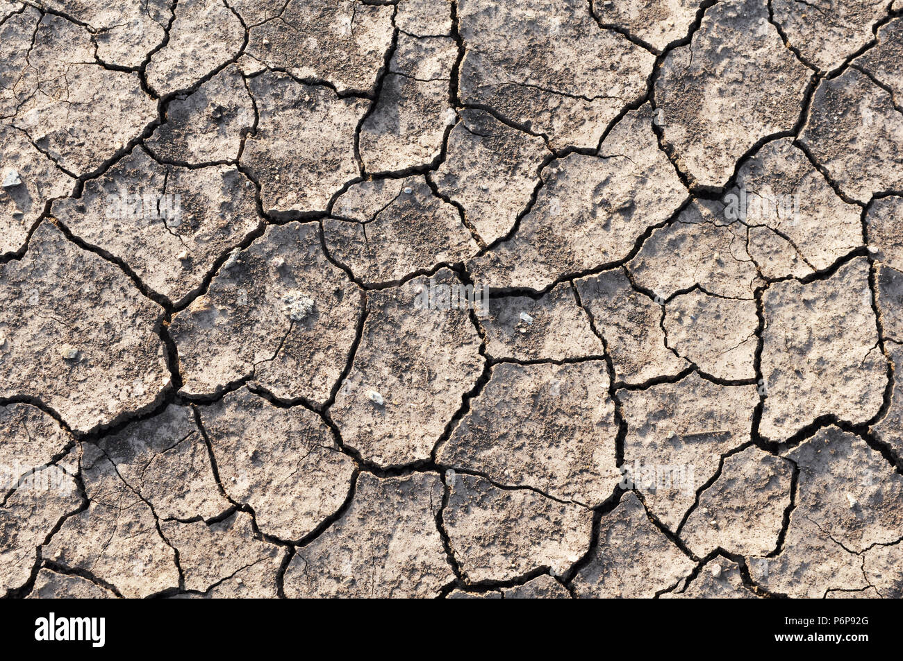 Détails du sol fissuré à sec Photo Stock - Alamy