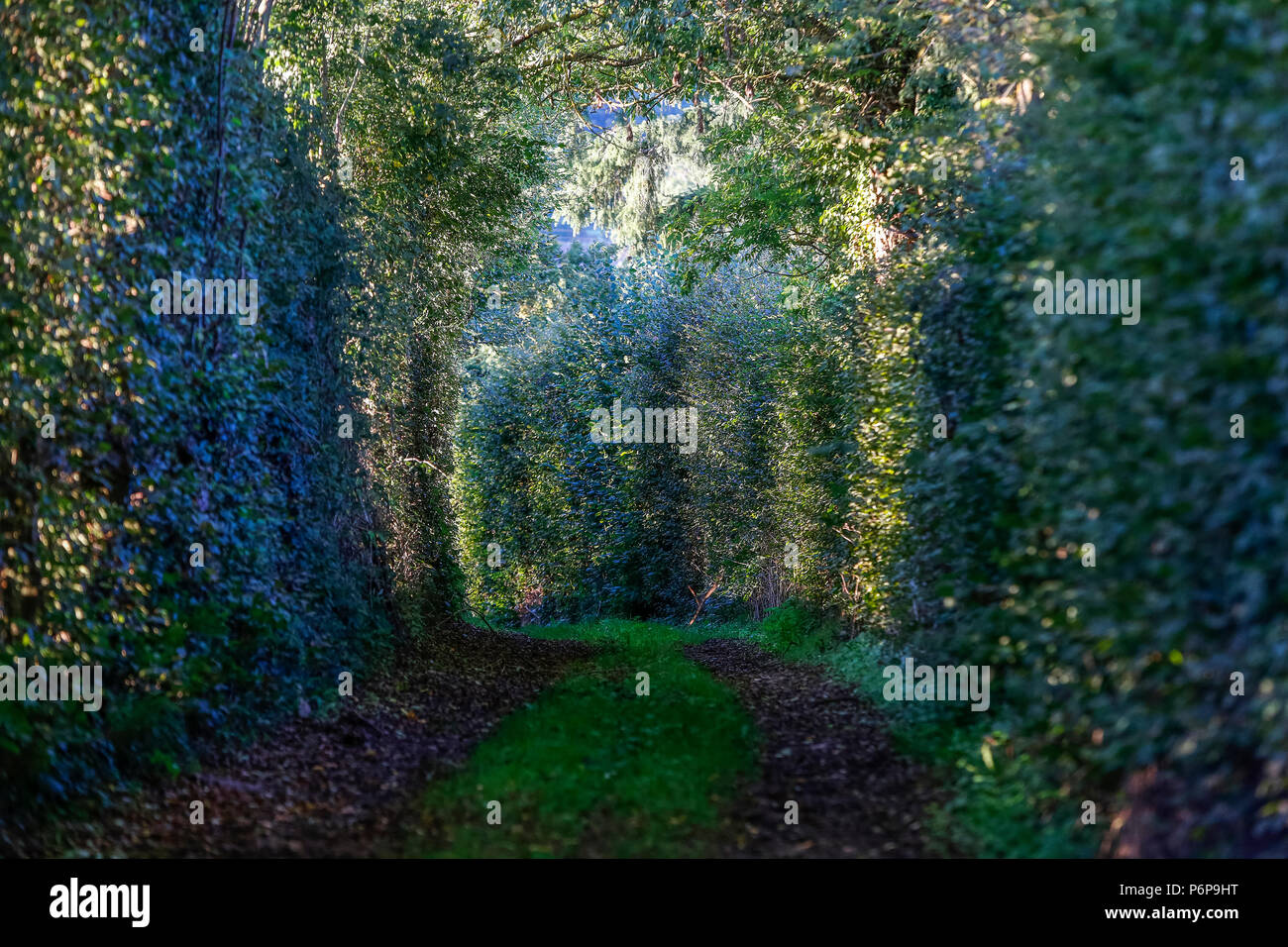 Chemin campagne Banque de photographies et d’images à haute résolution ...