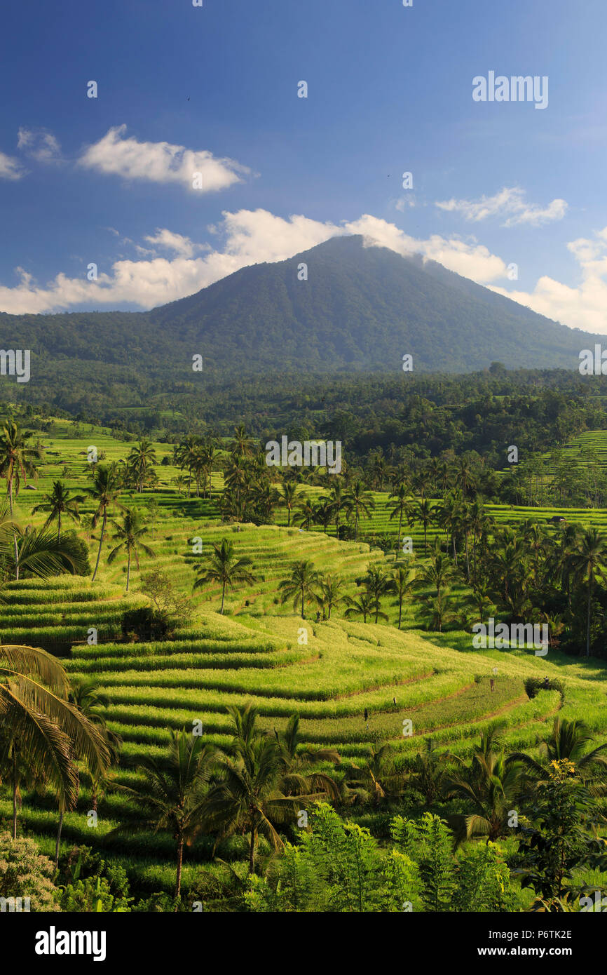 Mt pohen Banque de photographies et d’images à haute résolution - Alamy