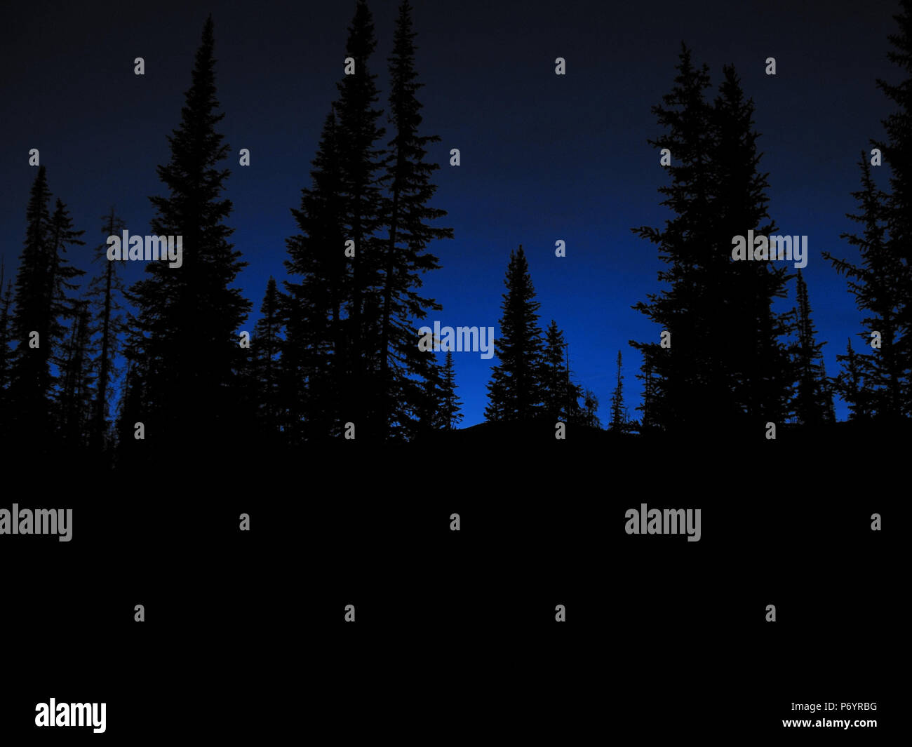 Un peu plus tard Banque de photographies et d’images à haute résolution ...