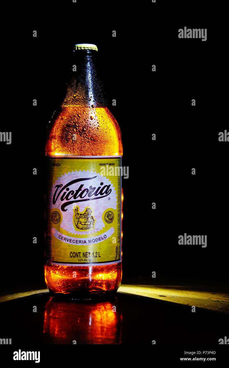 Cerveza victoria Banque de photographies et d’images à haute résolution ...
