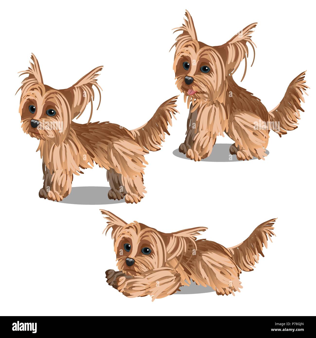 Série d'animation dessin animé chiot Yorkshire Terrier isolé sur fond ...