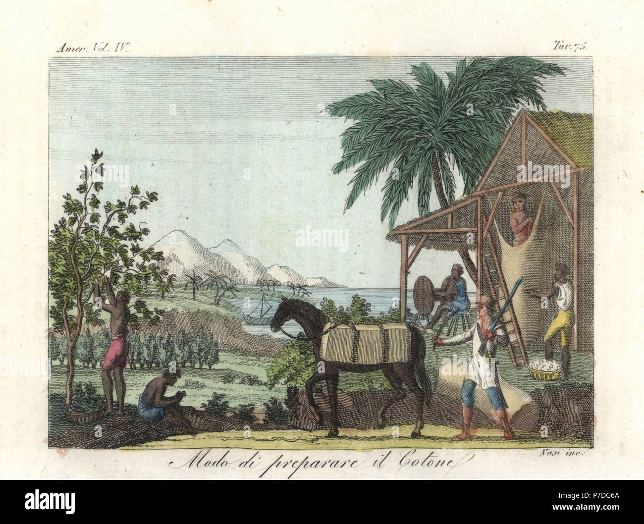 Esclavage antilles Banque de photographies et d’images à haute résolution - Page 2 - Alamy