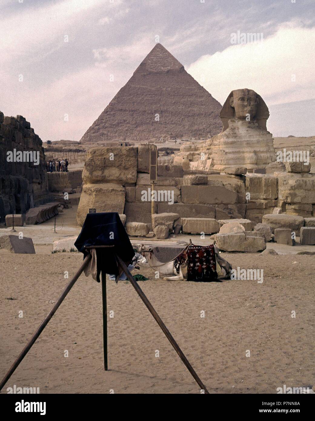 PIRAMIDE DE KEFREN ESFINGE Y-IV DINASTIA-IMP ANTIGUO. Lieu : extérieur ...